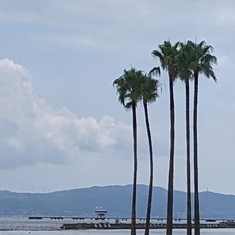 About KOBE | KOBE Diorama Adventure